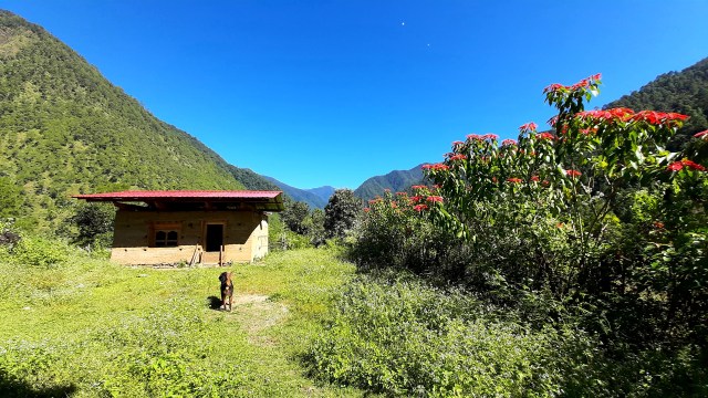 Return to Rukha – Dorji Wangchuk
