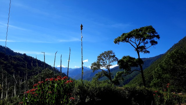 Return to Rukha – Dorji Wangchuk