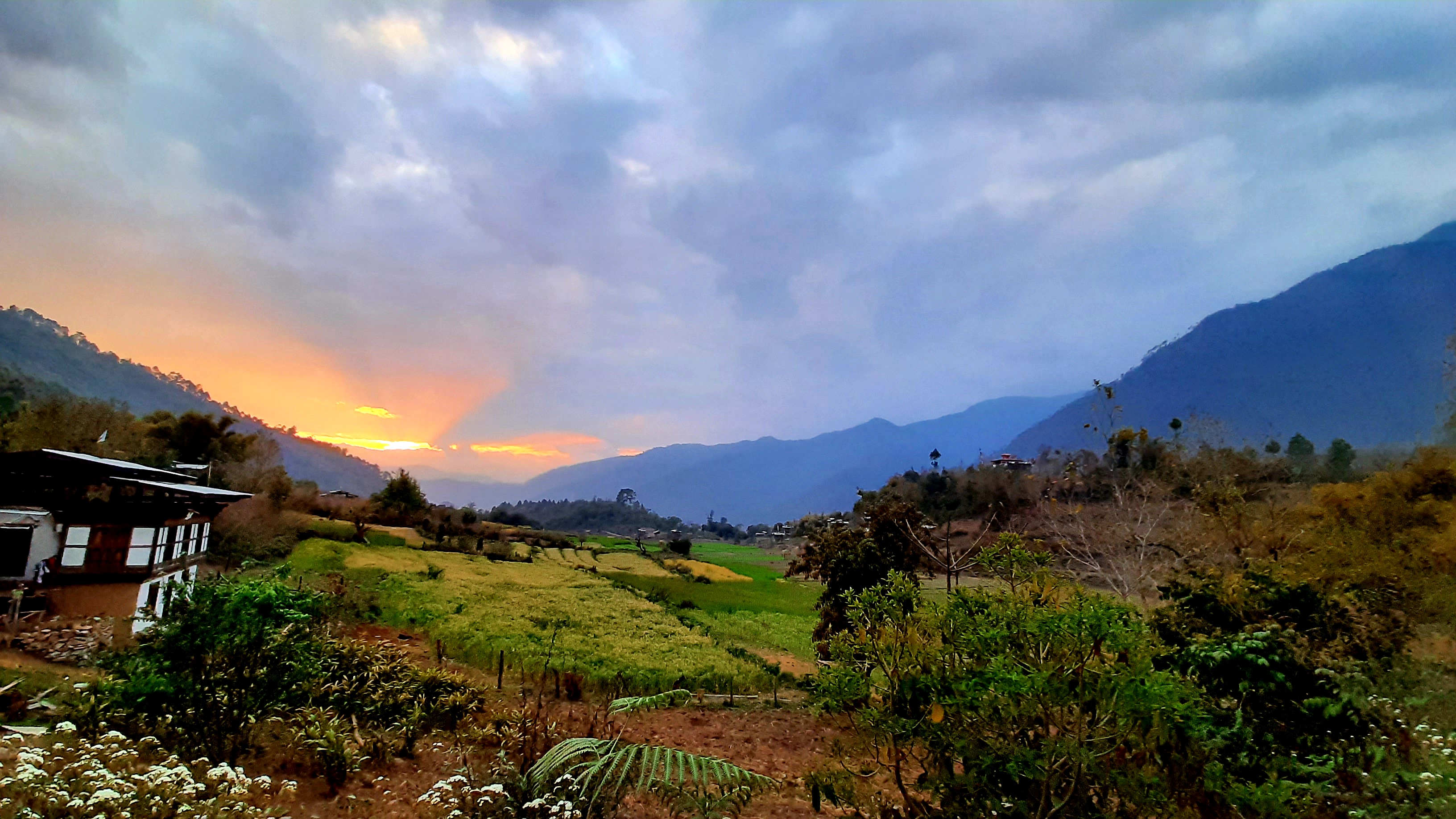 Return to Rukha – Dorji Wangchuk