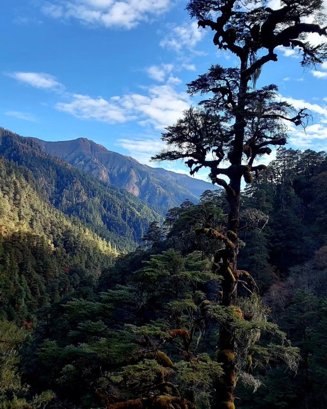 Chumphu Nye – Between sky and earth – Dorji Wangchuk